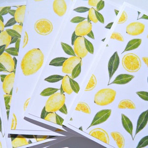 Citrus Note Card Set, 4 Cards, Stationery Set, Lemon Lime Note Cards ...