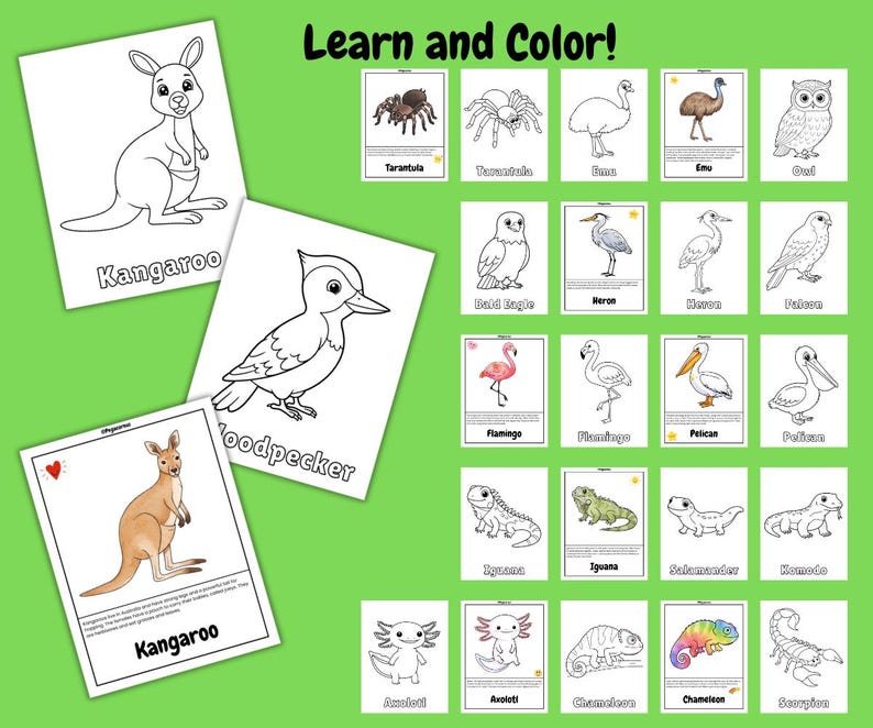 352 Pages Animals Learning Bundle for Kids, Animals Coloring, Animal ...
