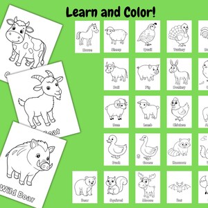 352 Pages Animals Learning Bundle for Kids, Animals Coloring, Animal ...