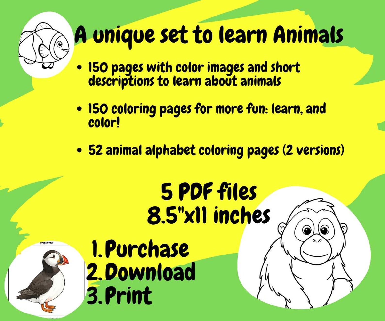352 Pages Animals Learning Bundle for Kids, Animals Coloring, Animal ...