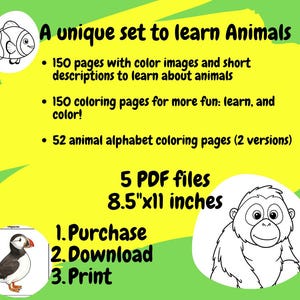 352 Pages Animals Learning Bundle for Kids, Animals Coloring, Animal ...