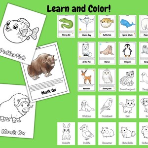 352 Pages Animals Learning Bundle for Kids, Animals Coloring, Animal ...