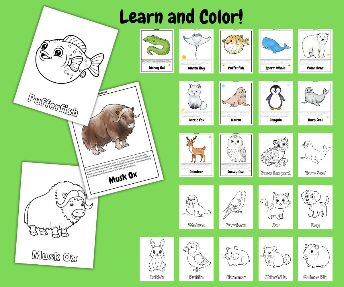 352 Pages Animals Learning Bundle for Kids, Animals Coloring, Animal ...