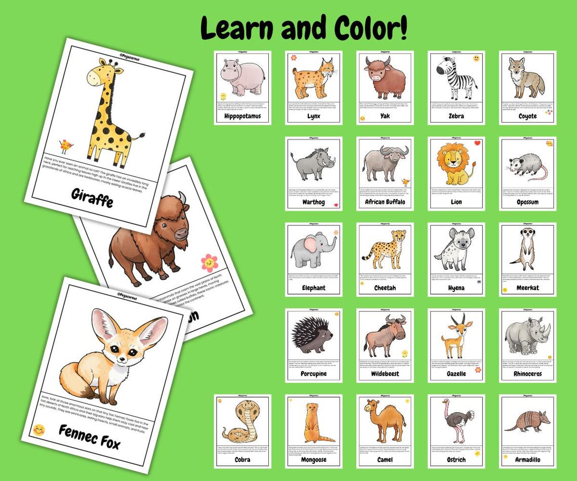 352 Pages Animals Learning Bundle for Kids, Animals Coloring, Animal ...