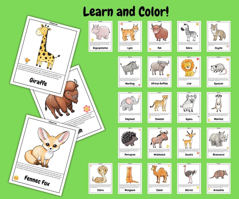 352 Pages Animals Learning Bundle for Kids, Animals Coloring, Animal ...