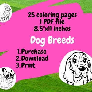 Dogs Breeds Coloring Pages for Adults and Kids, 25 Coloring Pages - Etsy