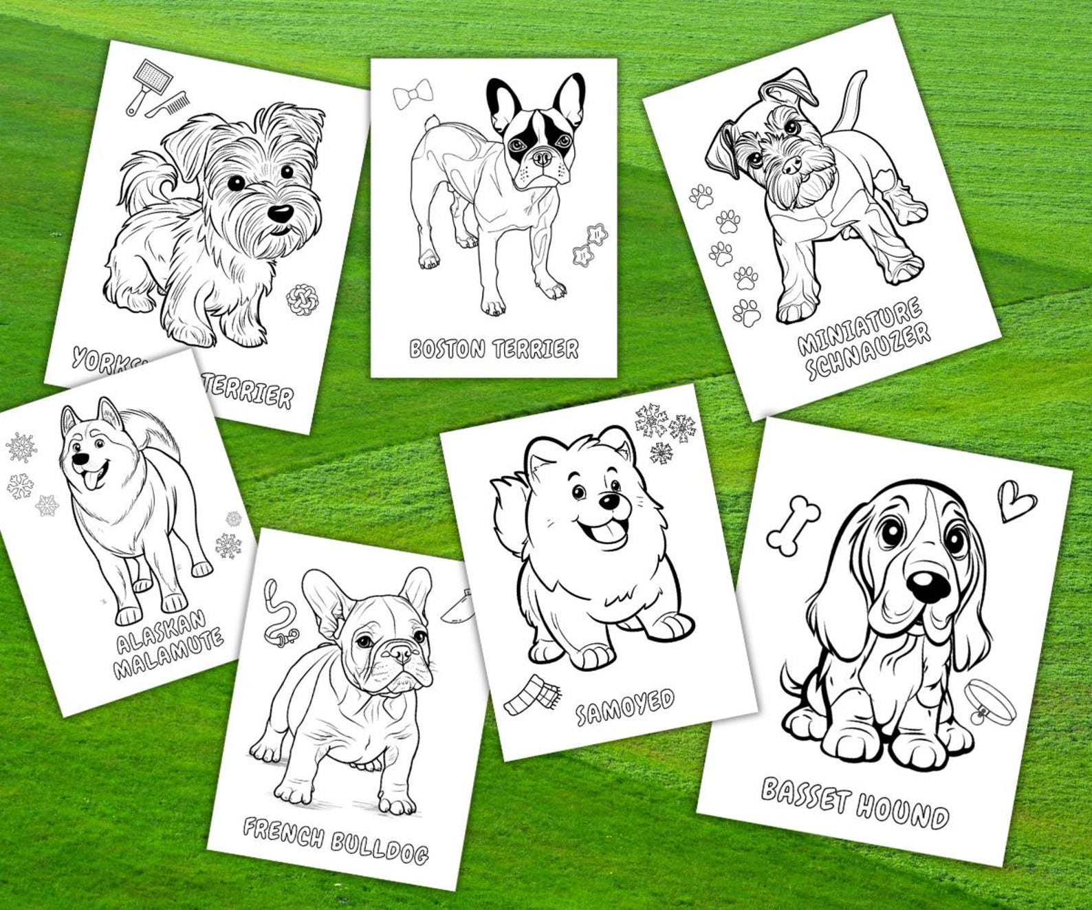 Dog Breeds Coloring Pages, 25 Printable Puppy Coloring Sheets for Kids ...