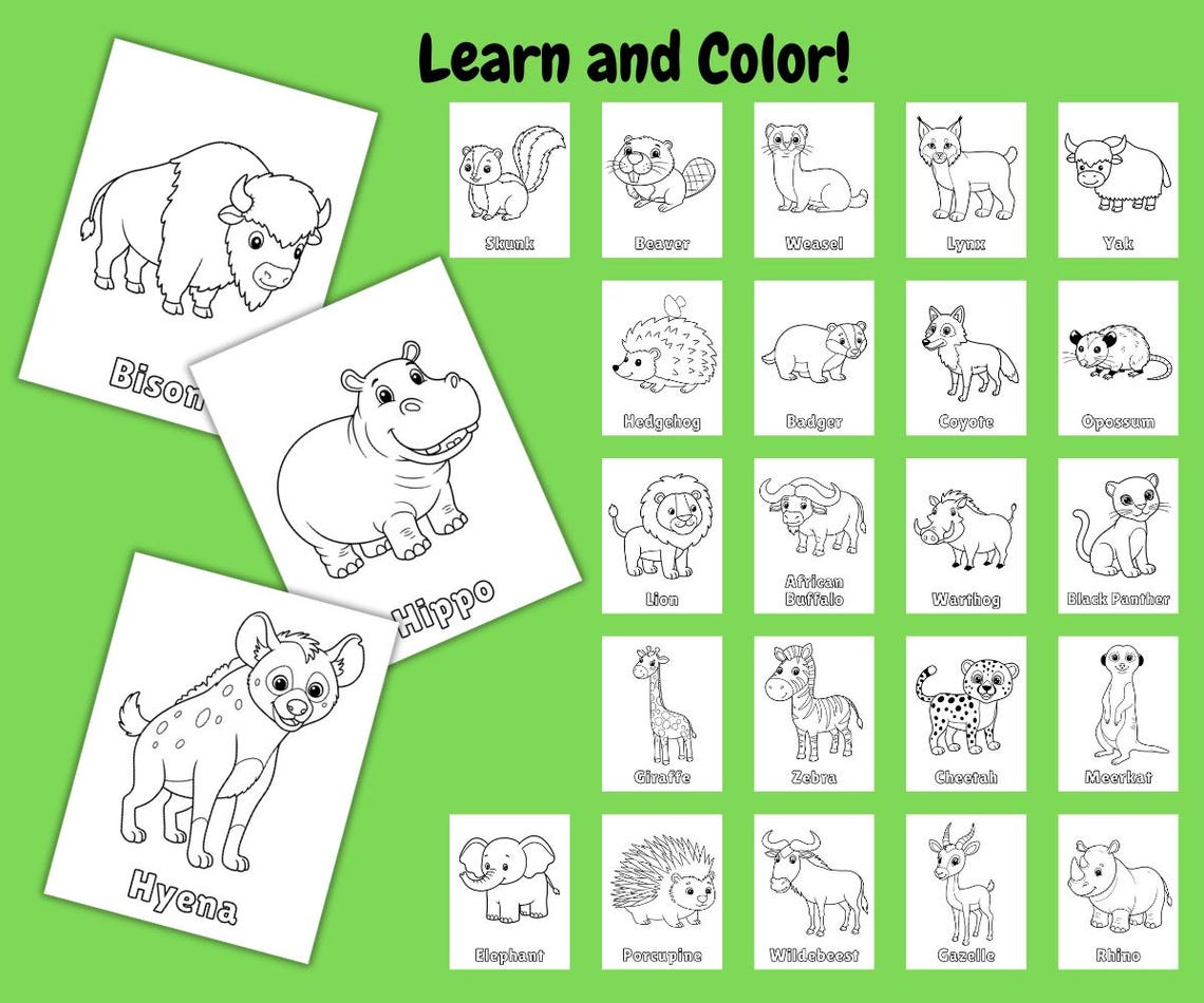 352 Pages Animals Learning Bundle for Kids, Animals Coloring, Animal ...