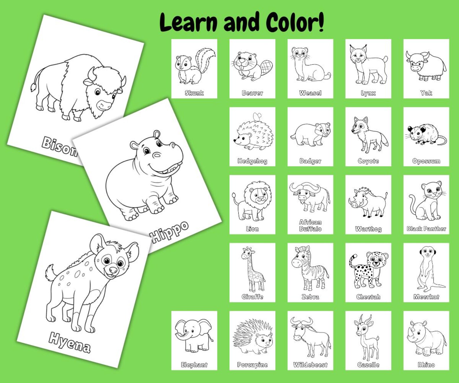 352 Pages Animals Learning Bundle for Kids, Animals Coloring, Animal ...