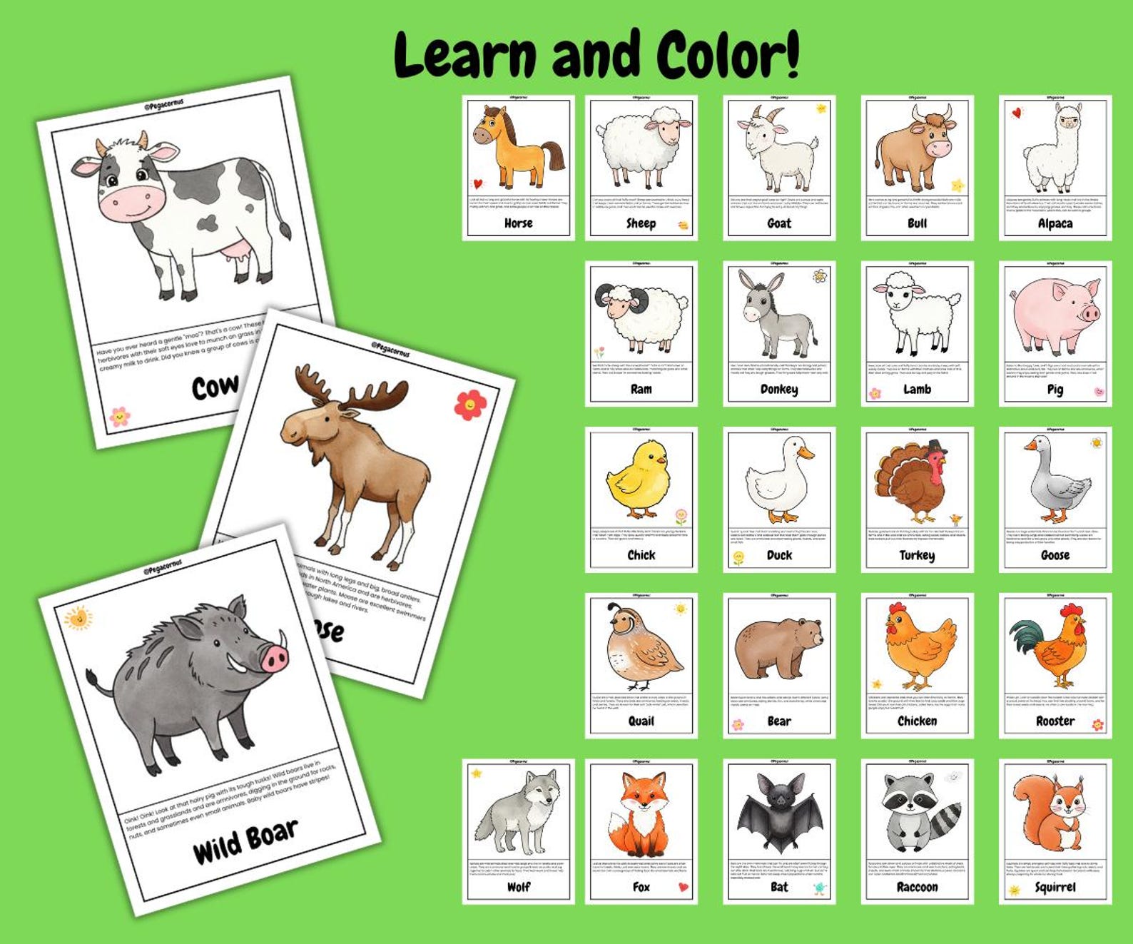352 Pages Animals Learning Bundle for Kids, Animals Coloring, Animal ...