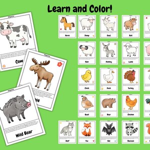 352 Pages Animals Learning Bundle for Kids, Animals Coloring, Animal ...