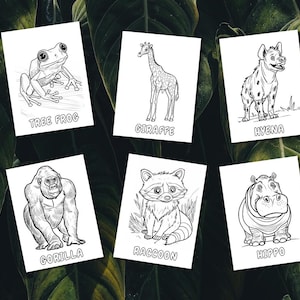 45 Jungle Animal Coloring Page for Kids, Safari Animals Coloring Book ...