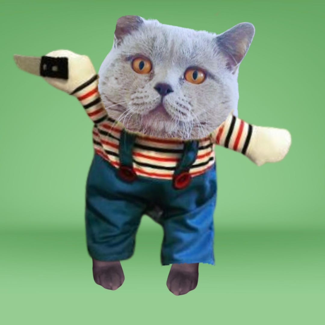 Funny Chucky Cat-dog Costume - Etsy