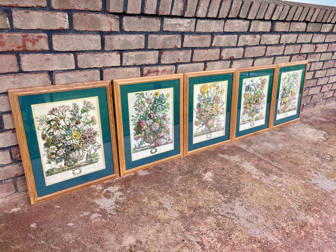 Vintage Robert Furber Botanical Print: Framed Floral Art - Etsy