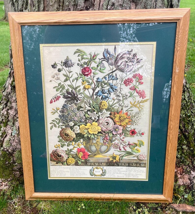 Vintage Robert Furber Botanical Print: Framed Floral Art - Etsy