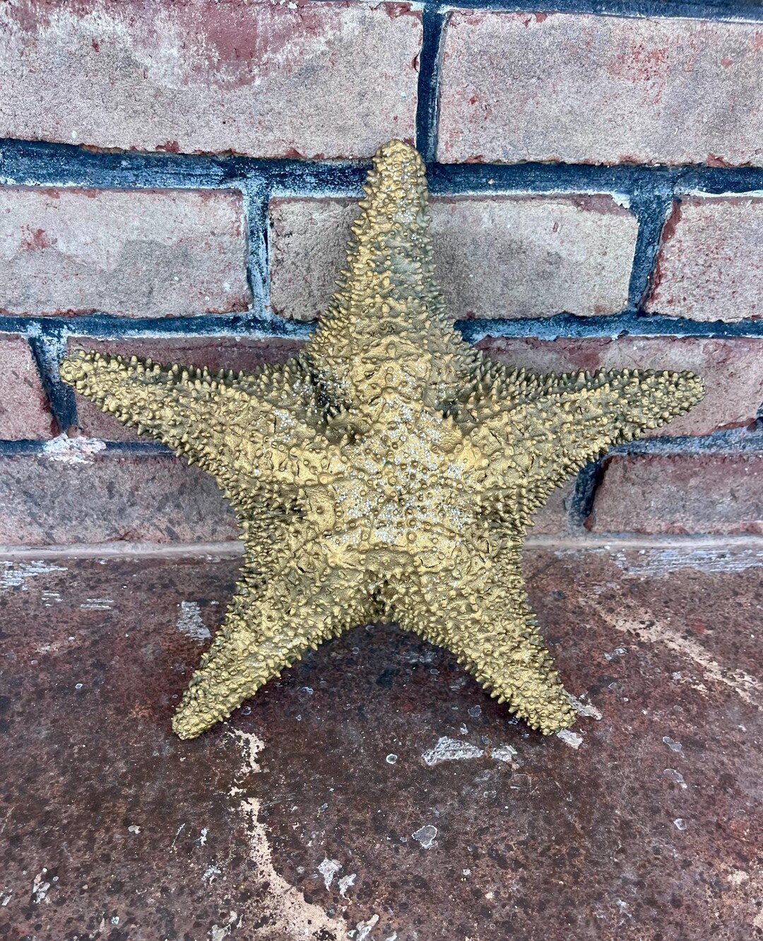 Large Starfish, Sea Star, Star Fish, Natural, Coastal Decor, Beach ...
