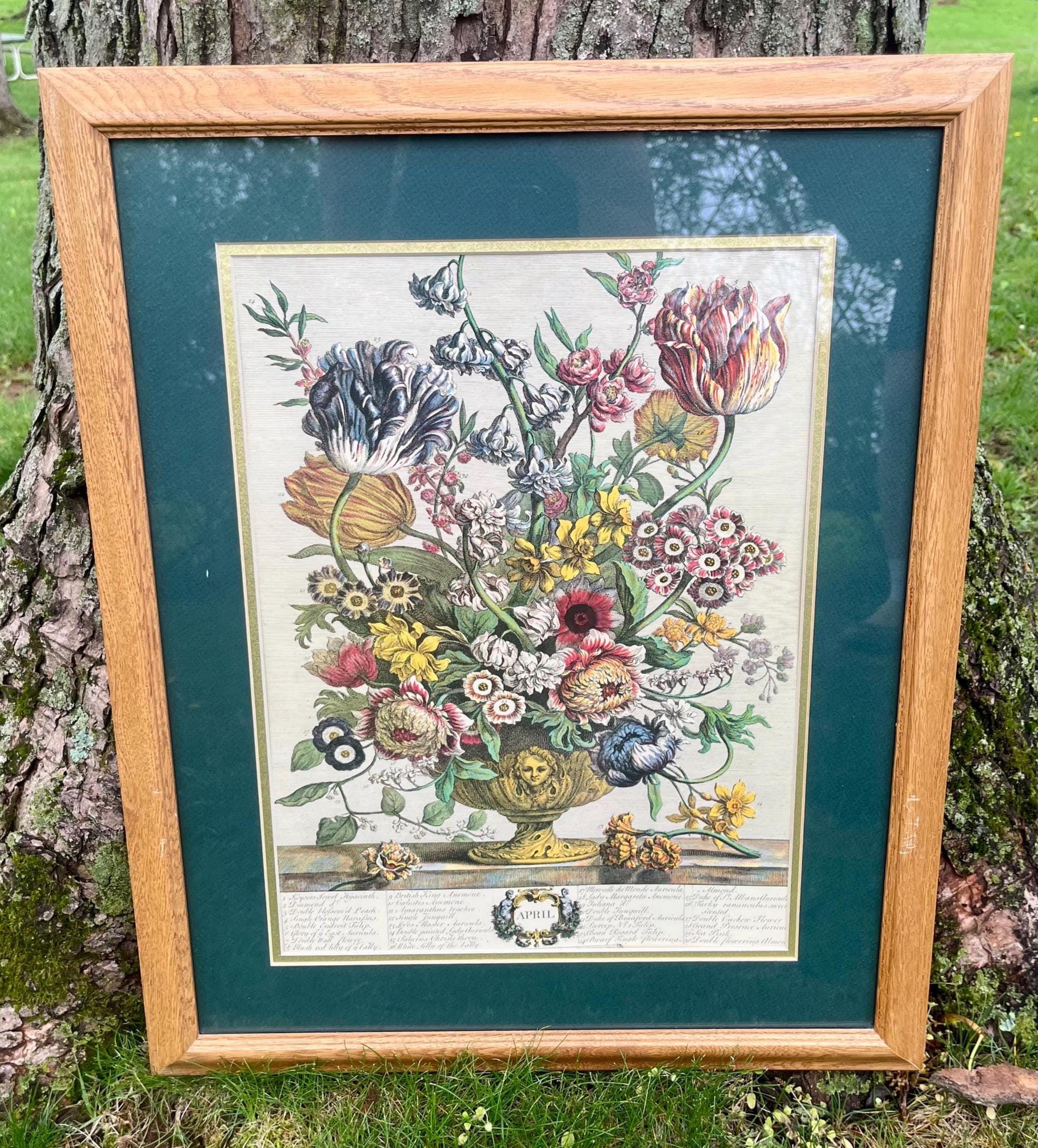 Vintage Robert Furber Botanical Print: Framed Floral Art - Etsy