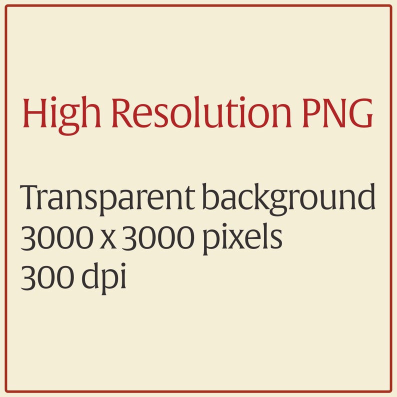 Orange Fruit Png, High Resolution Png, Commercial Use Png Images, Photo ...