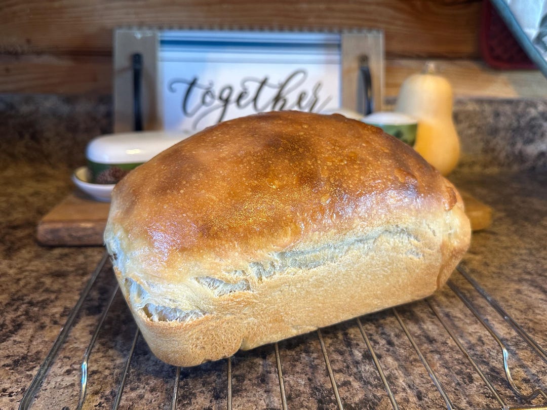 FRESH Sourdough Sandwich Loaf - Etsy