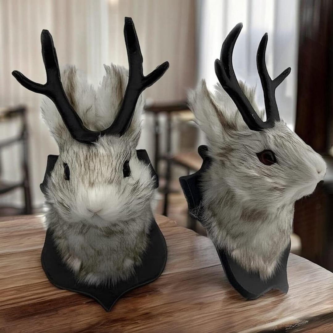 Whimsical Jackalope Wall Mount Decor With Antlers Rabbit Head | Resin ...