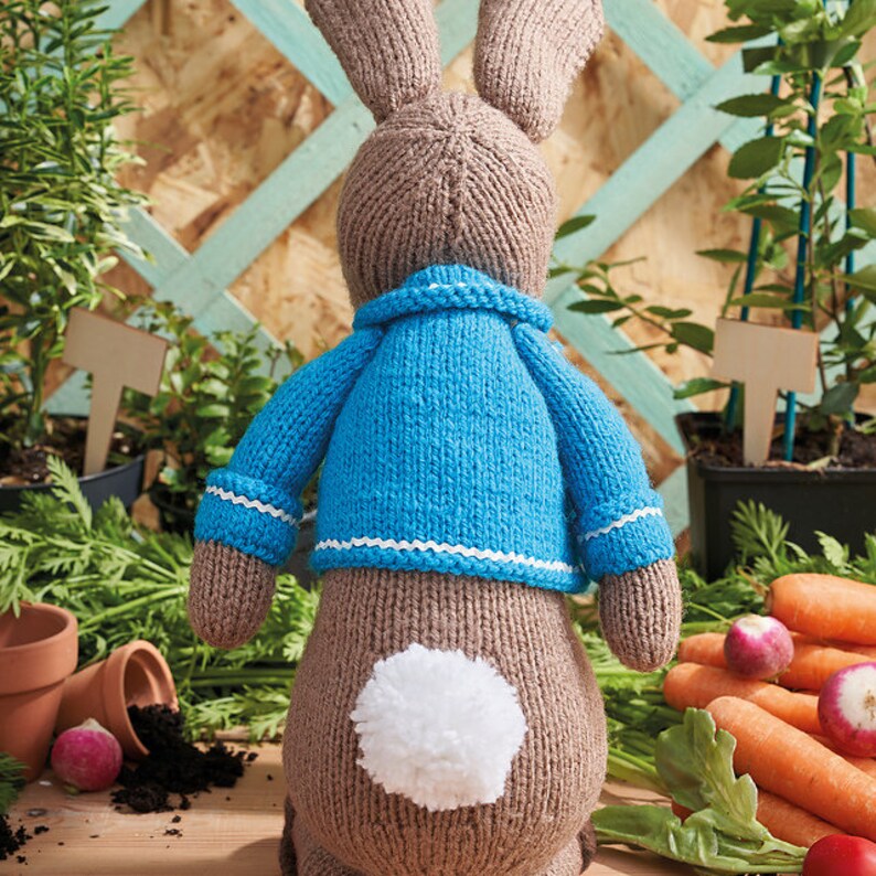 Lovely Peter Rabbit PDF Knit PATTERN - Etsy