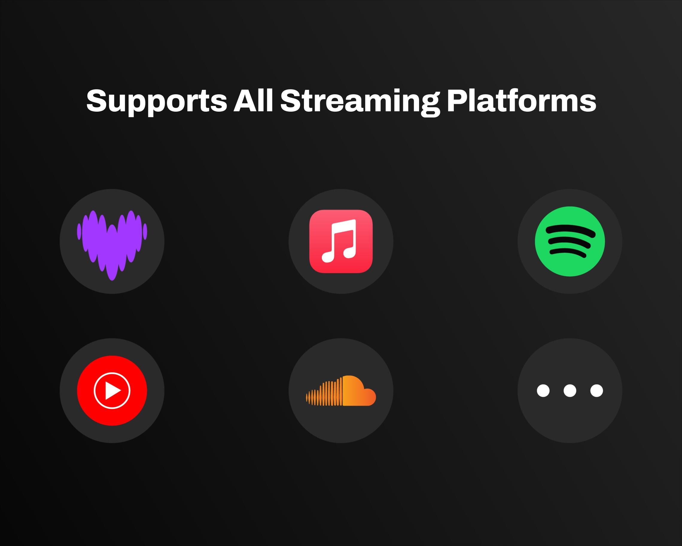 Vinyl Record Music Display Widget • Twitch Music Widget • Spotify Widget for Twitch & Youtube ...