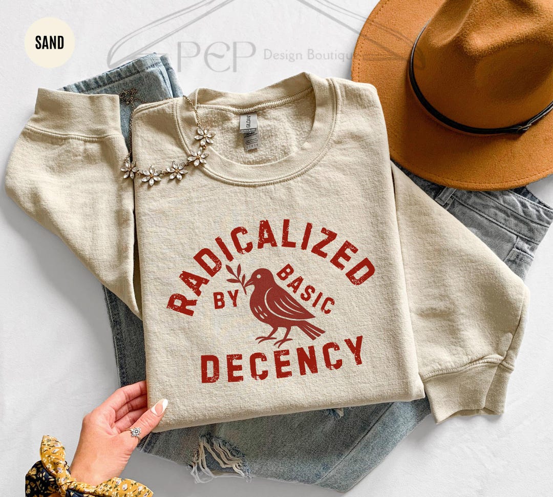 Radicalized by Basic Decency Sweater, Political Protest Sweatshirt ...