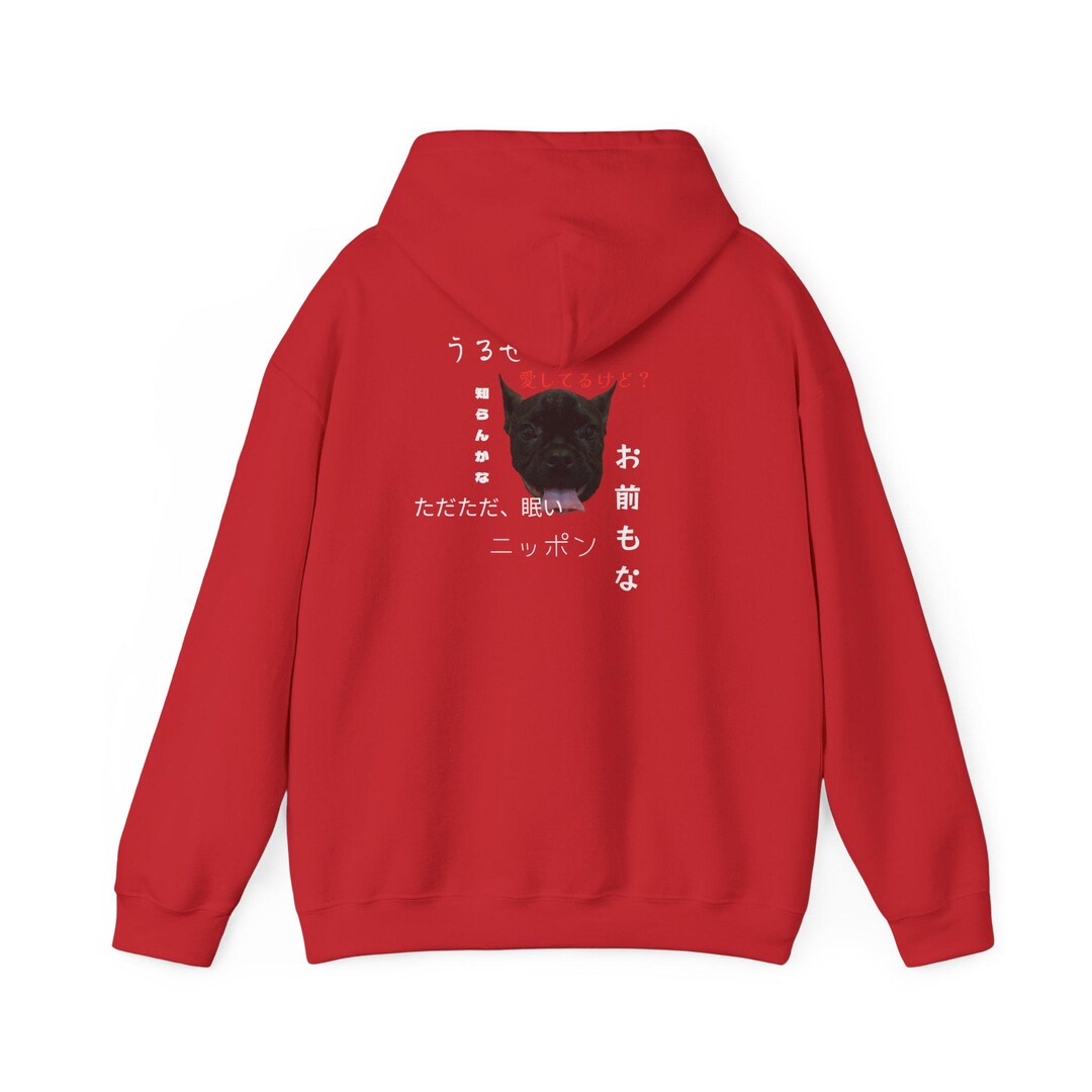 Whimsical Cat-themed Hoodie, Cozy Sweatshirt, Gifts for Cat Lovers ...