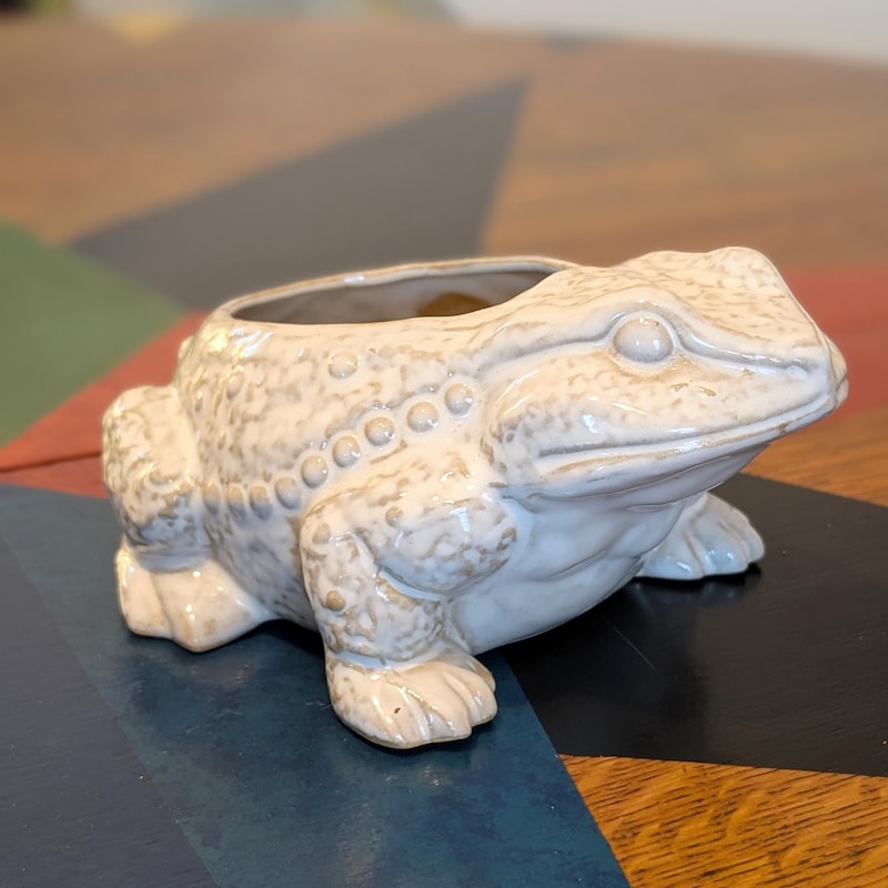 Frog Planter - Etsy