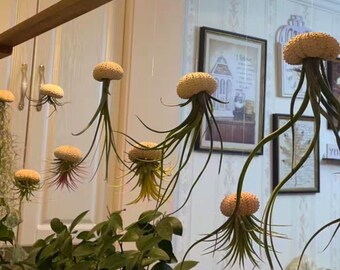 xmysticflame coloring pages