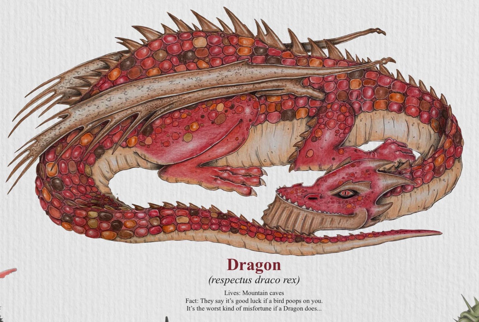 Know Your Monsters Poster: Kids Room Dragon & Beasties Art (A1 Print ...