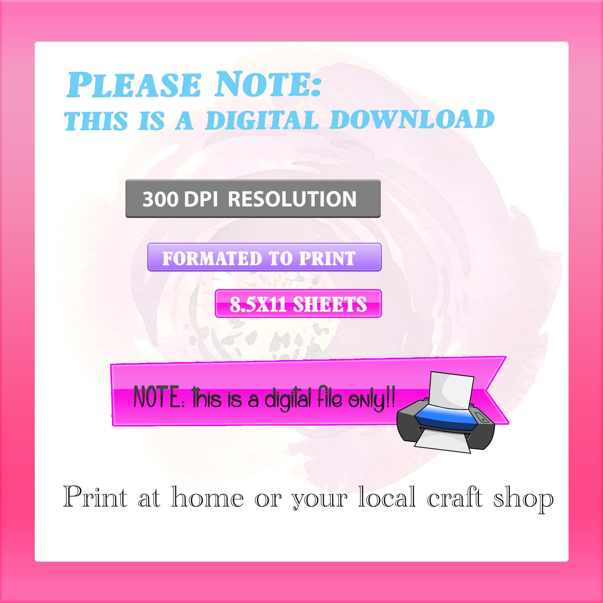 Chip Bag Template, Blank Chips Template, Editable Nutrition Chips ...