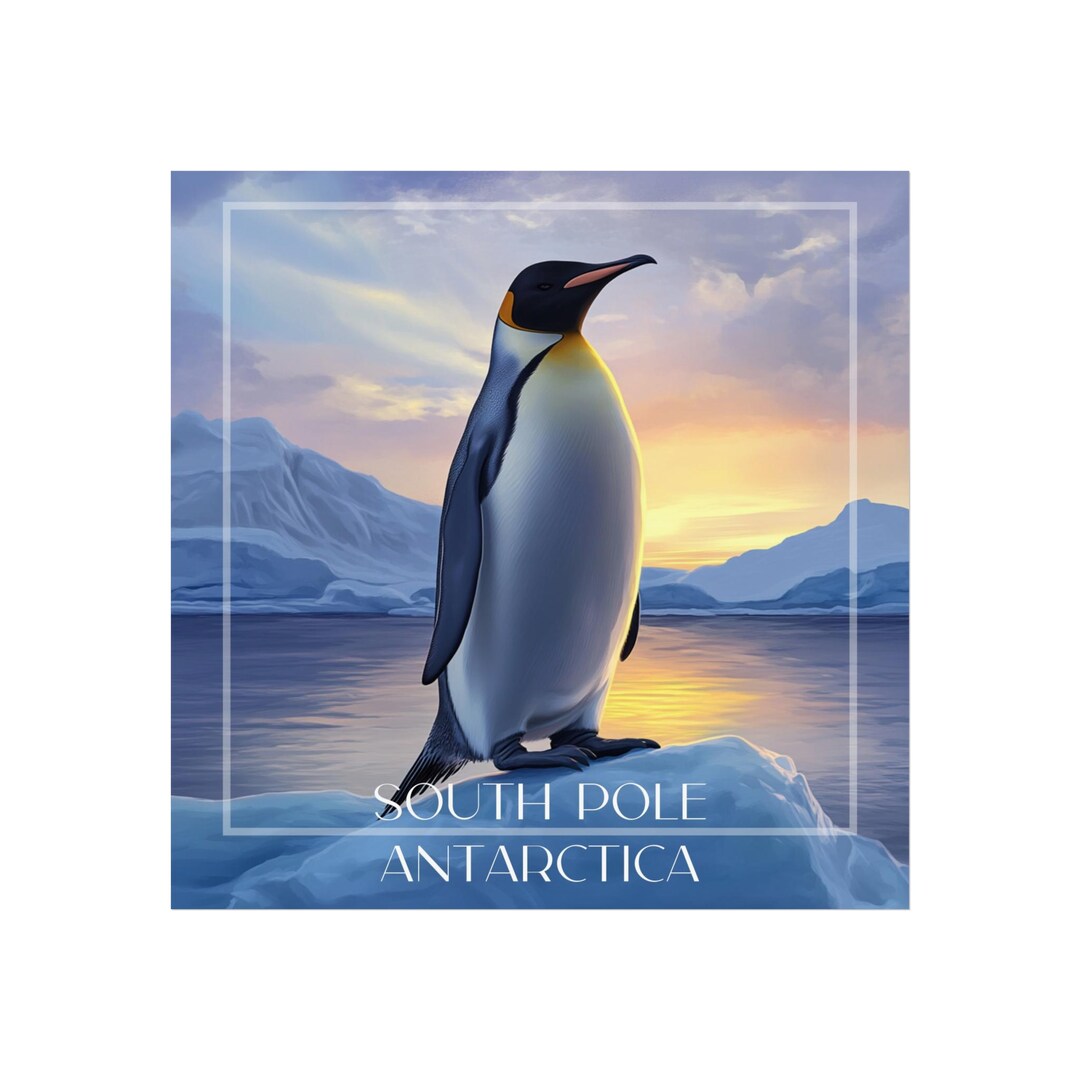 Penguin Travel Poster Antarctic Decor, Wildlife Wall Art, Nature Home ...