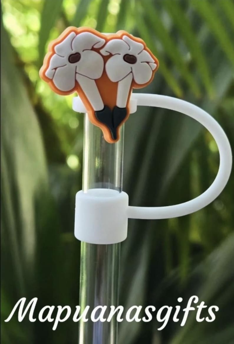 Hawaii Edition Double Puakenikeni Straw Topper - Etsy