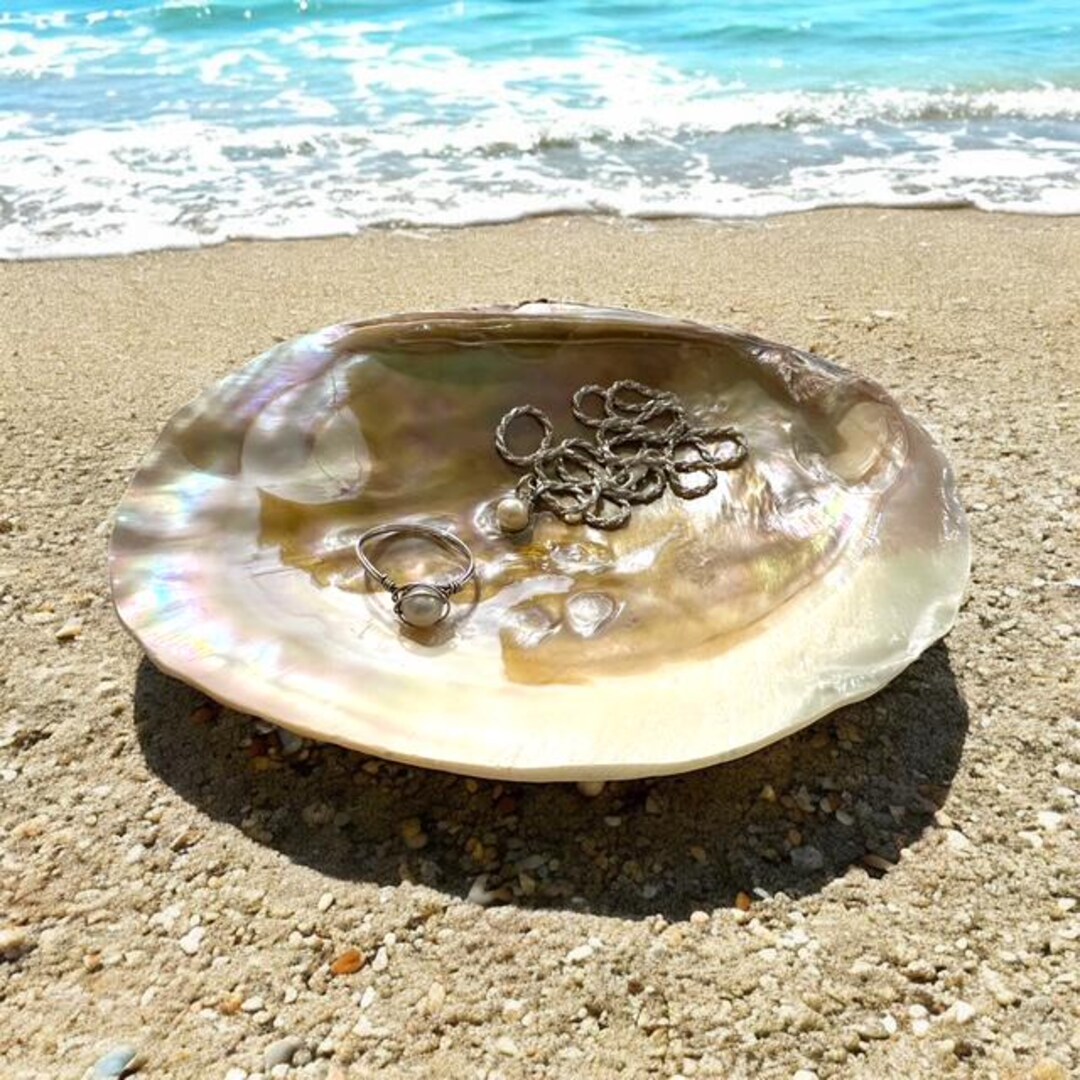 Large Mother of Pearl Clam Shell - Beach Decor - Coastal Home Decor ...