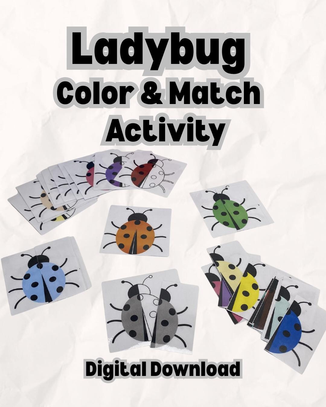 Ladybug Color Match Activity | Montessori Preschool Fine Motor ...