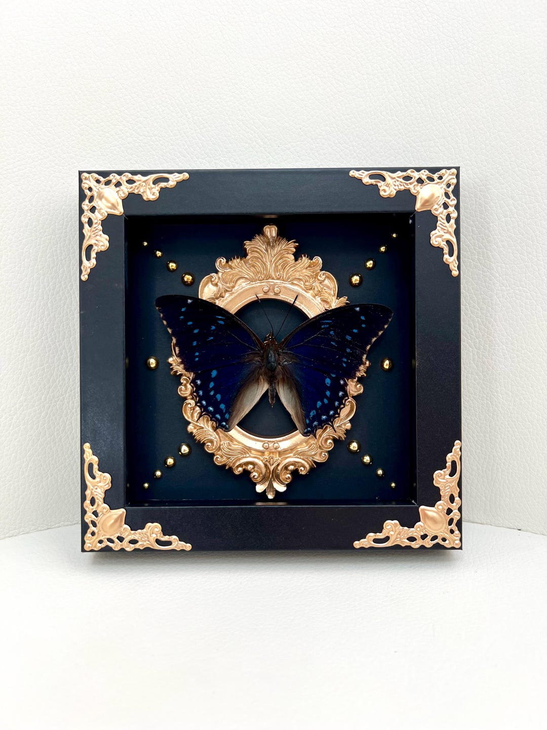 Starry Night Butterfly Nature Art Gothic Home Decor Entomology Art ...