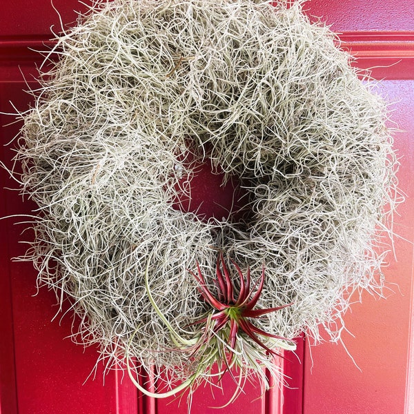 Spanish Moss - Etsy