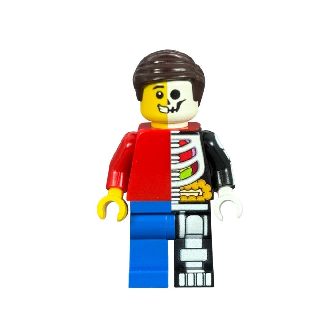 Anatomy - Custom Minifigure. Printed on Genuine Lego® Pieces. - Etsy