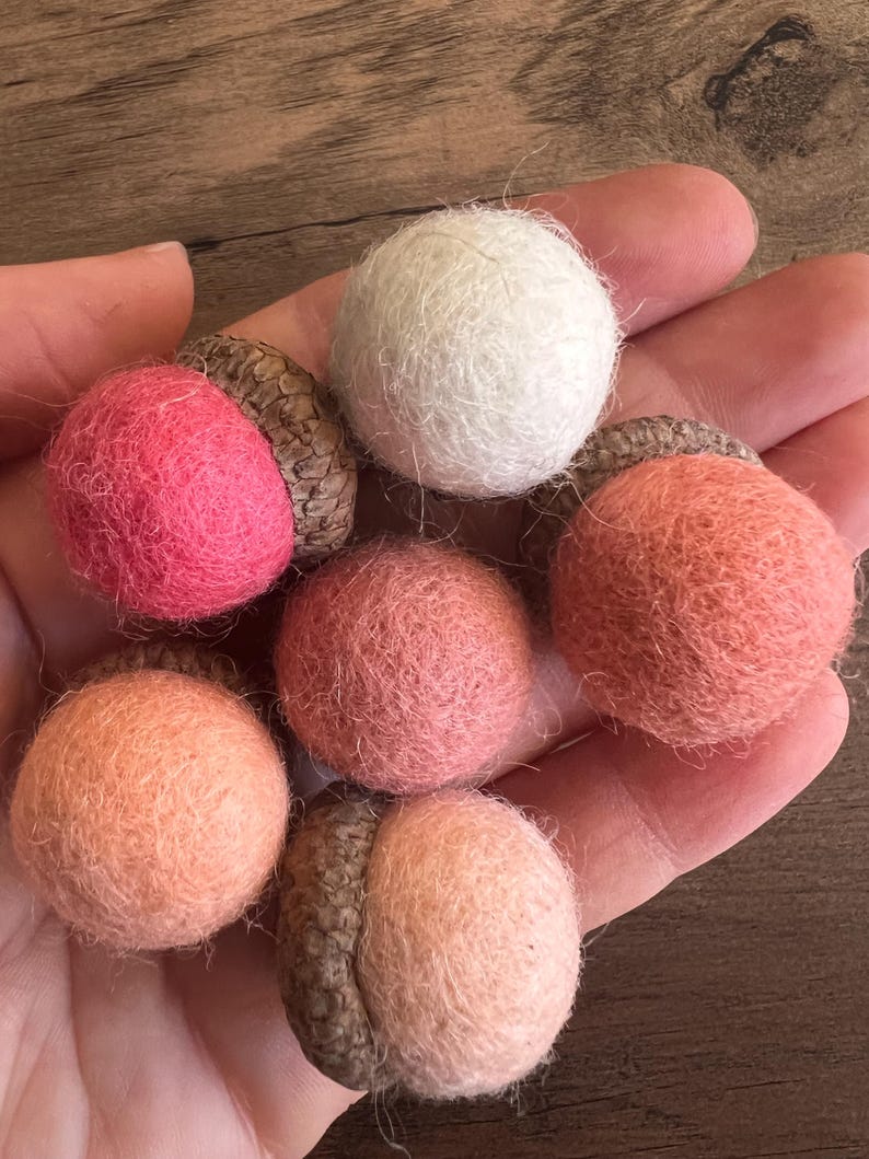 Set of 6 Felted Wool Acorn, Handmade Felt Ball Acorn With Real Cup, 2cm ...