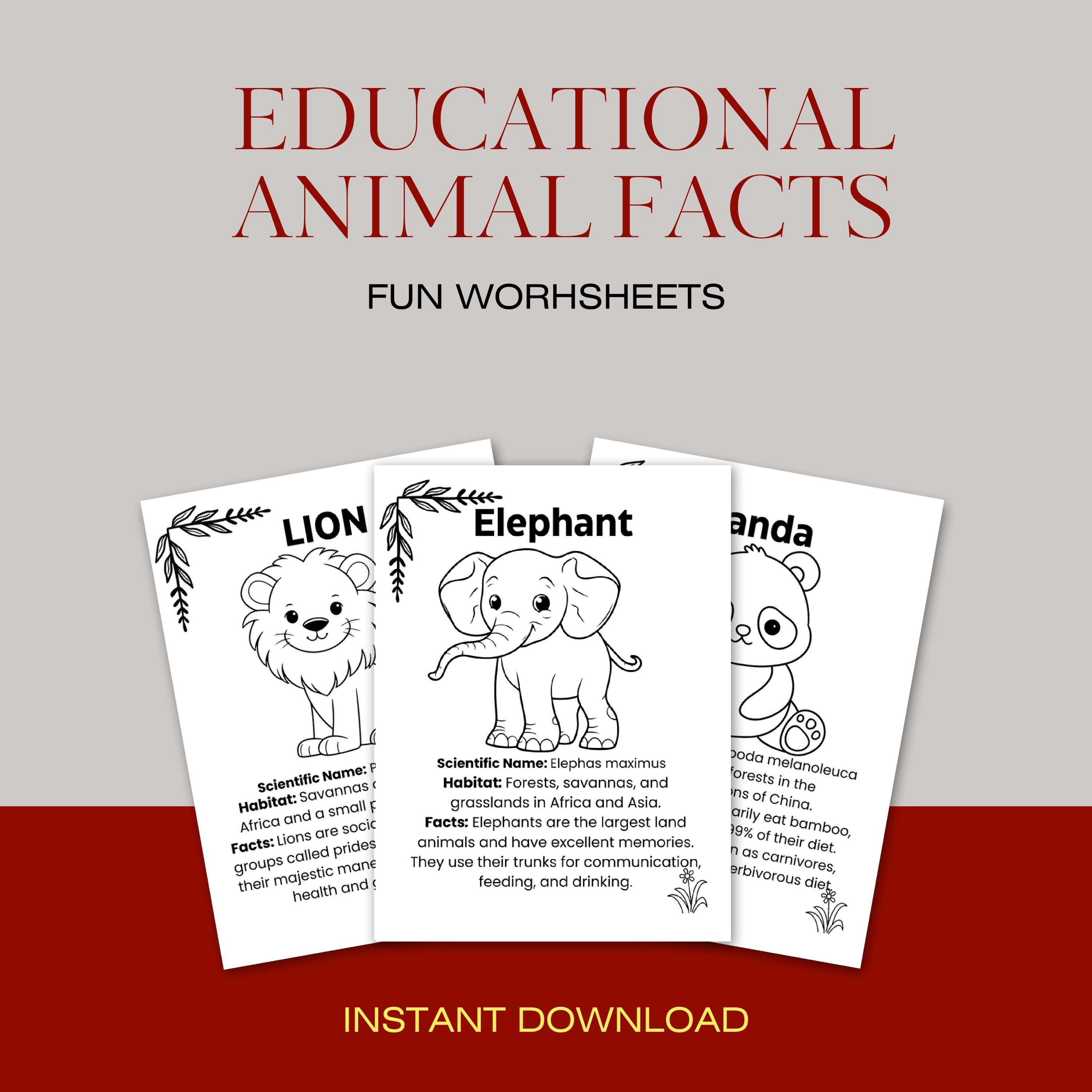 Educational Animal Fact Worksheets; From Lion to Elephant to More ...