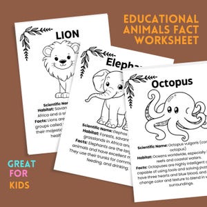 Educational Animal Fact Worksheets From Lion to Elephant to More Exotic ...