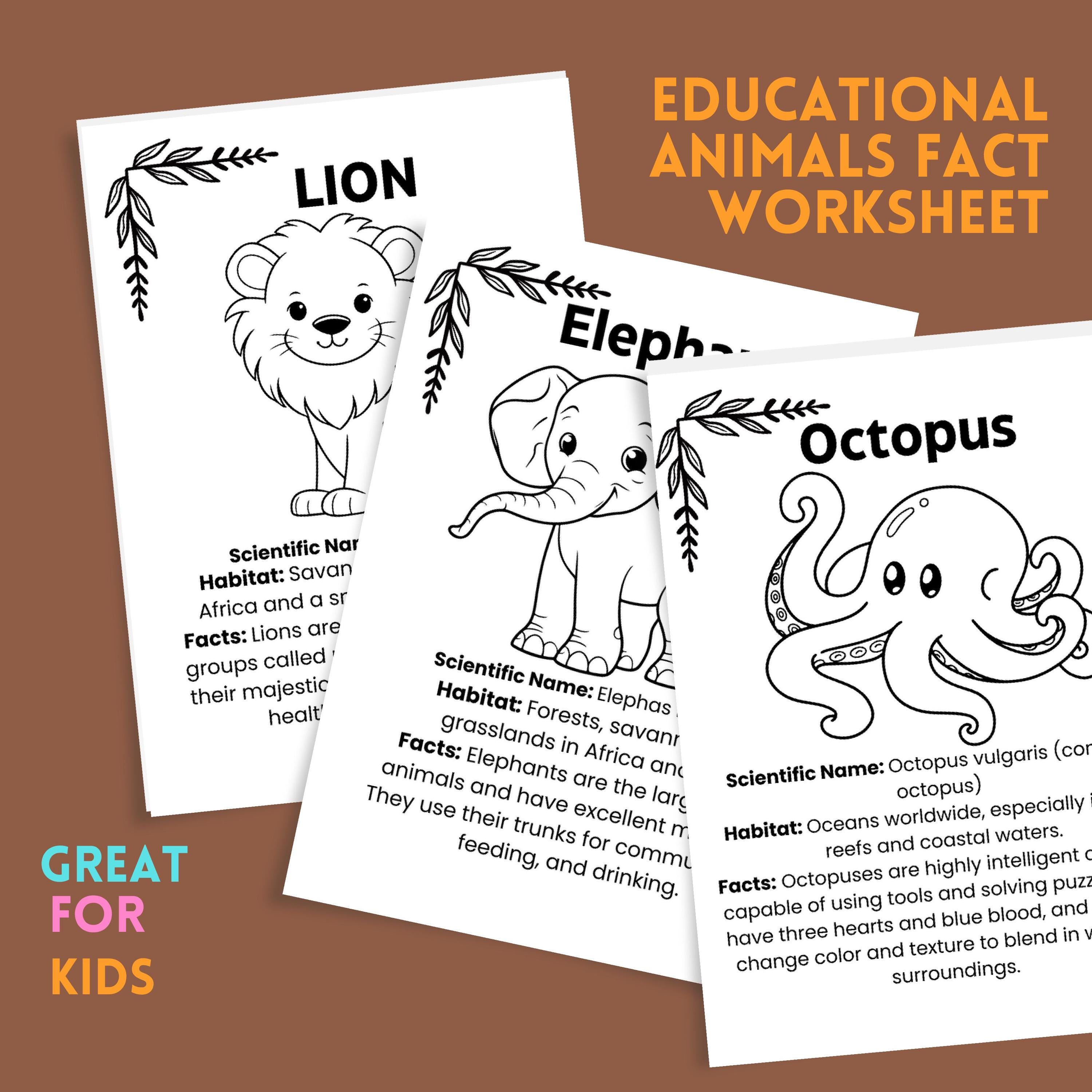 Educational Animal Fact Worksheets; From Lion to Elephant to More ...