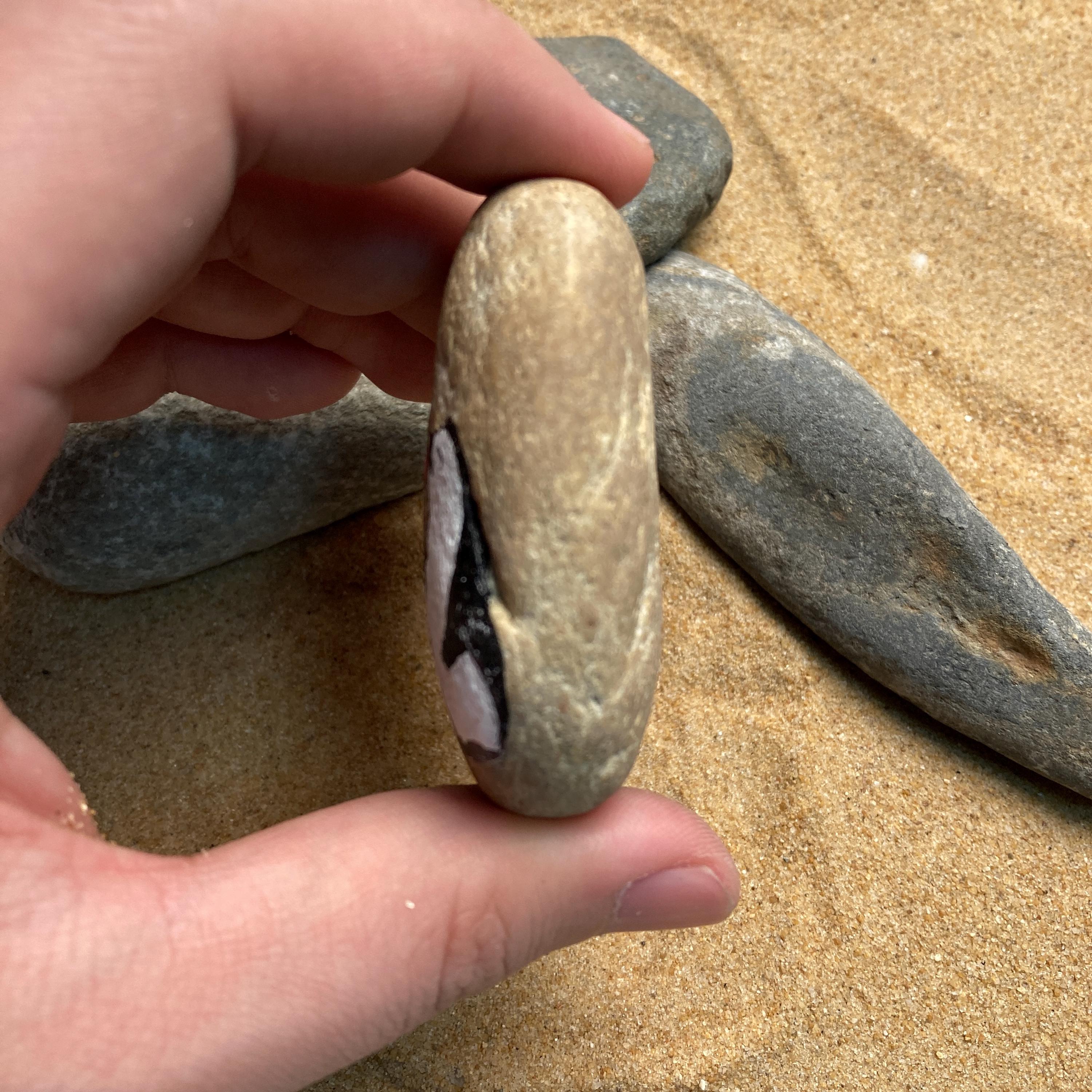Hand Painted Penguins With Heart Stone, Painted Stones, Beach Stones ...