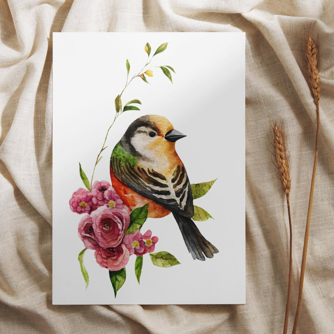 Bird Greeting Cards Set, Floral Stationery for All Occasions, Perfect ...