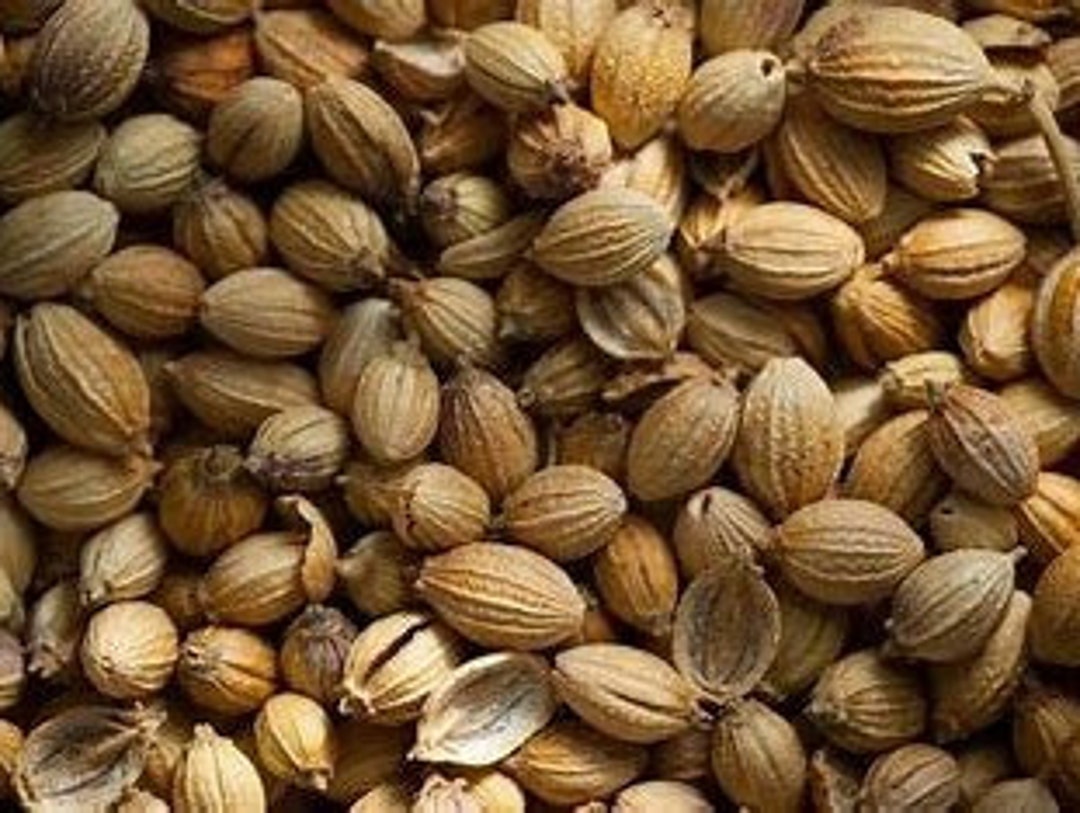 Coriander Essential Oil 100% Pure Therapeutic Grade Oil for Skin, Soap ...