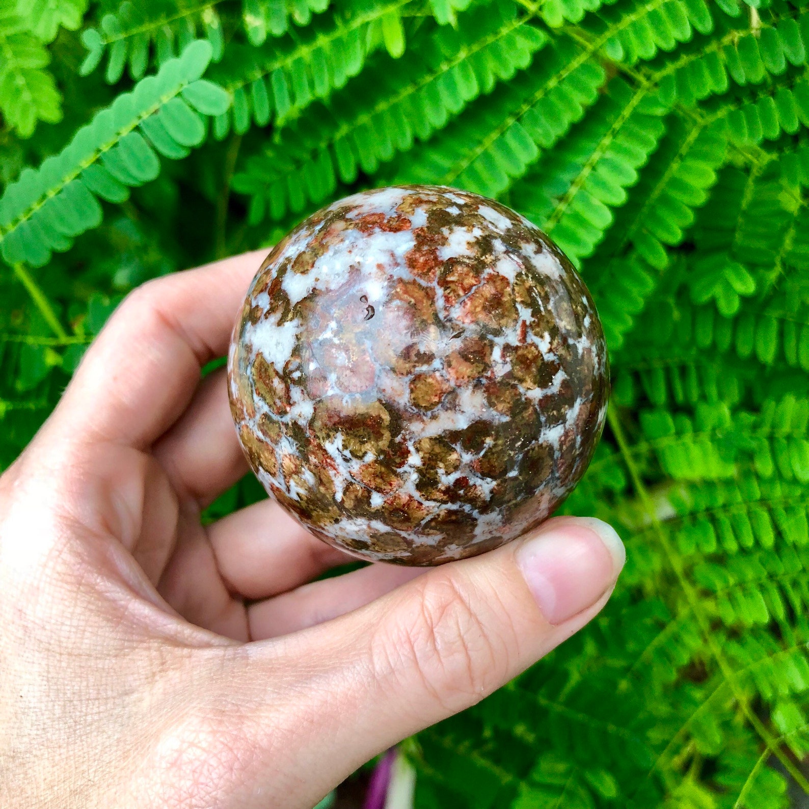SPOTTED AGATE SPHERE Orb Earth Gem Stone Grounding Root Chakra | Etsy