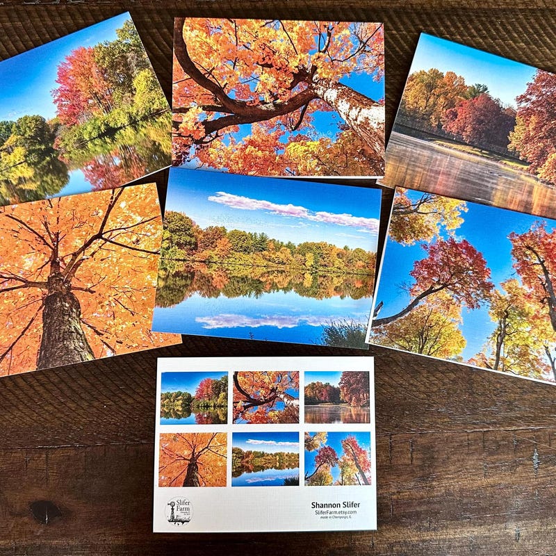 Blank Note Cards - Etsy