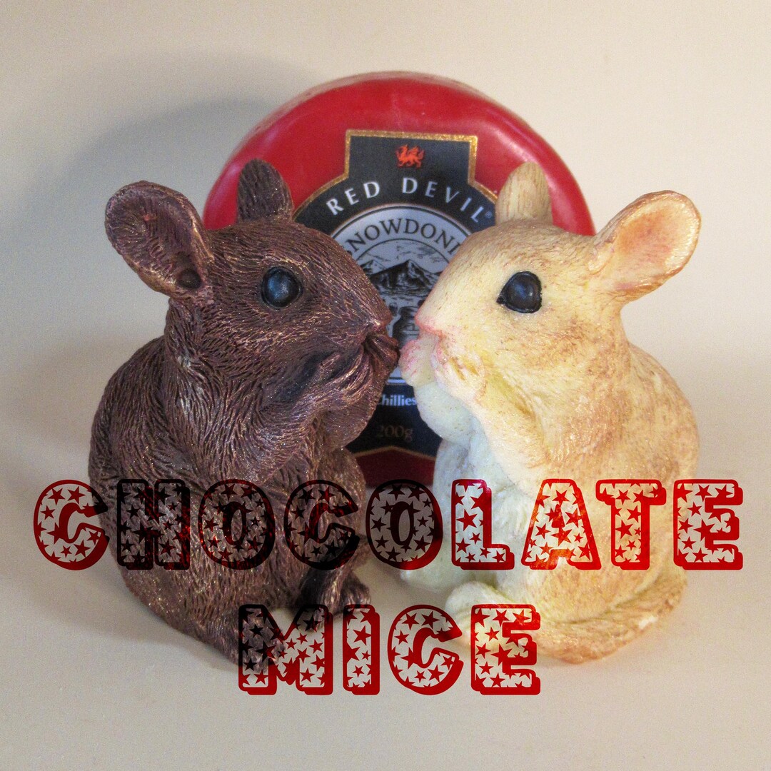 Chocolate Mouse - 3D, Solid Chocolate - Handmade, Hand Painted ...
