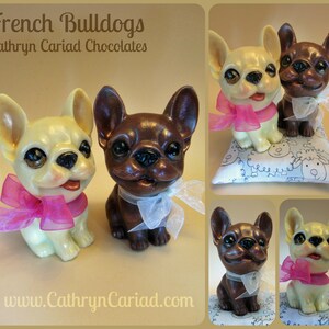Chocolate French Bulldog - Frenchie - Chocolate Dog 3D Model Solid ...
